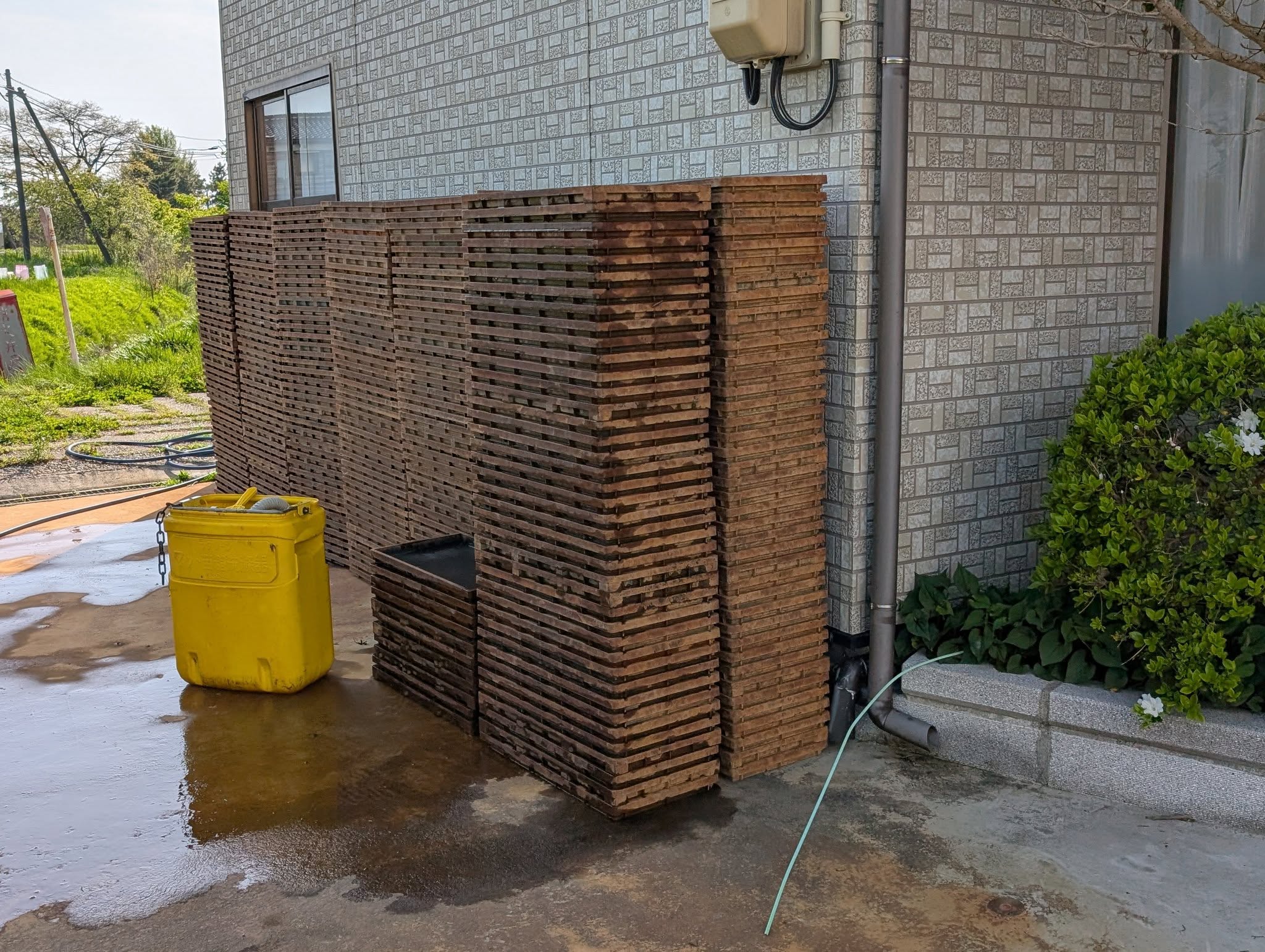 495572096_1750887445502784_1577016148430636492_n - 遠藤れい子 オフィシャルサイト